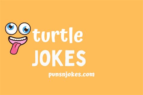 Turtle Jokes Laugh Out Loud With These Hilarious Reptile Puns Puns