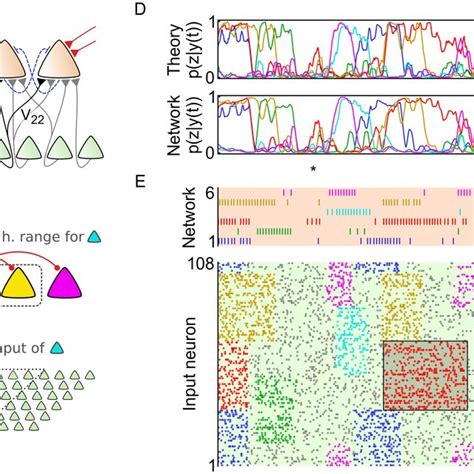 Neural Sheet Model With Local Inhibition For Distributed Bayesian