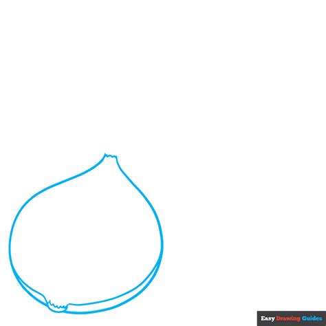 How To Draw An Onion Really Easy Drawing Tutorial