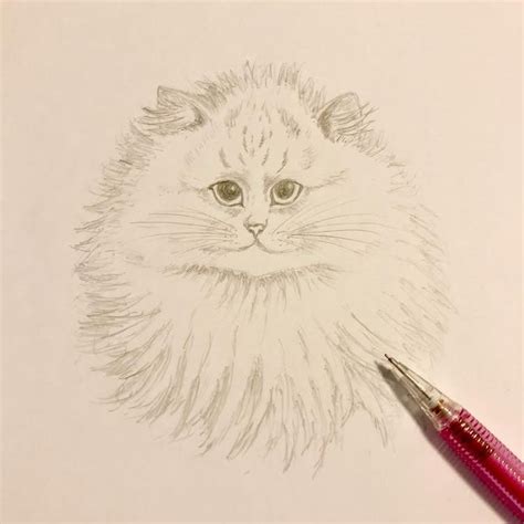 My First Sketch R Sketchpad
