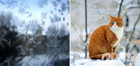 Прогноз погоди в Україні на 1 грудня місцями до 16 морозу та сильний вітер карта Oboz Ua