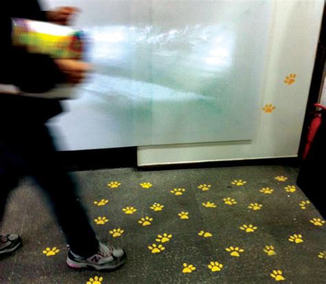 새봄 맹인학교가 근접해 있는 이곳 서촌 에서 시각장애우들의 고충을 대변해 보고 싶었습니다 영상을 만든 이는 우리들이 아닌 늘 항상 곁에서 시각 장애 학생들의 눈이