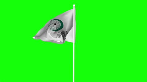 Organisation Of Islamic Cooperation Oic Flag Waving In Wind With Pole
