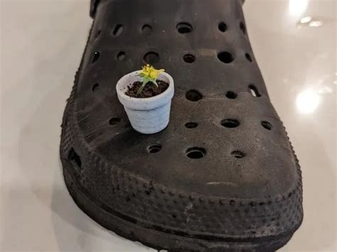 Croc Pot Etsy