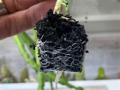 Feds Fund Alberta Value Added Projects Alberta Farmer Express Feds Fund Alberta Value Added Projects Alberta Farmer Express