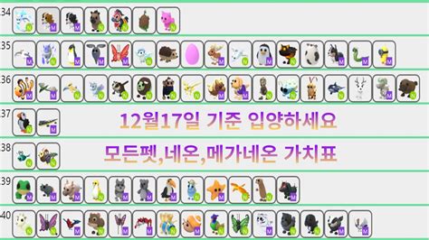 입양하세요 12월17일 기준 입양펫네온메가네온 가치표 Youtube