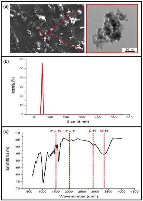 A Sem And Tem B Particle Size Distribution And C Ft Ir Of