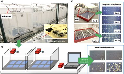 seedgerm raspberry pi based platform for automated seed imaging