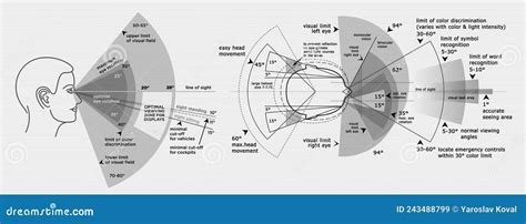 Ergonomics Optimal Angle View Human Sight Range Stock Vector Illustration Of Angles Letters