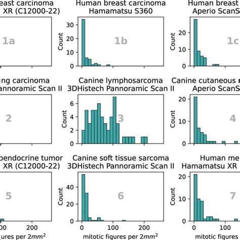 Mitotic Figure Candidates From All Domains Summarized In Table 1