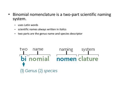 Taxonology Chapter 17 Biology Ppt Download