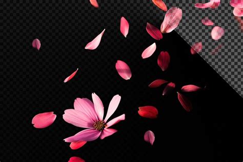 Flower Leaf Falling Overlay Premium Ai Generated Psd