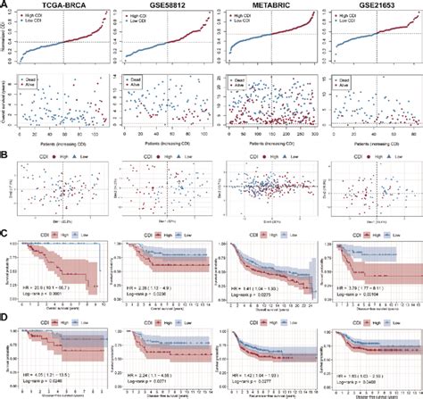 Internal Training And External Validation Of The Gene Signature