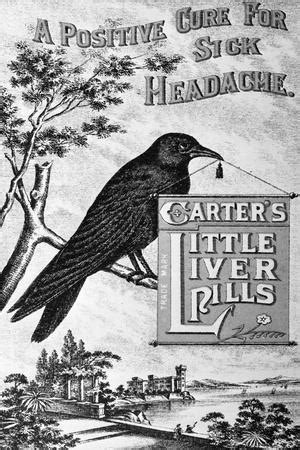 Carters Little Liver Pills Advertisement Depicting A Crow Giclee Print