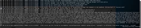 kubeadm init 出现 execstart usr bin kubelet code exited status 255
