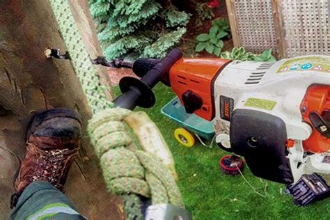 Cabling And Bracing Chatham Tree Services