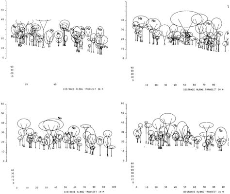 Profile Diagrams Of Four Transects Transects 5 6 7 8 Of 100 X 10 M