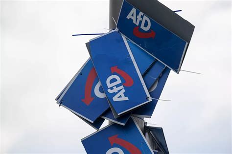 Kommunalwahl Wirbel Um Gewählten Afd Mann Geht Weiter United Kingdom