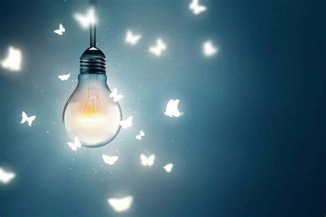 8 простых и натуральных средств, которые избавят ваш шкаф от моли ...