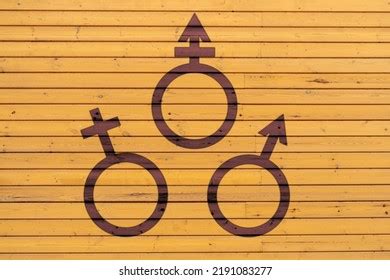 Transgender Sex Gender Symbol Concept Equality Stock Photo Shutterstock