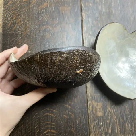 Etc 코코넛그릇코코넛그릇인테리어소품장식인테리어소품 On Bunjang With Safe Global Shipping