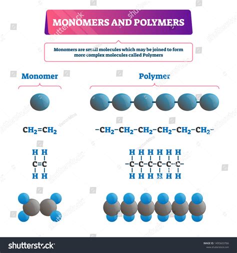 Monomer