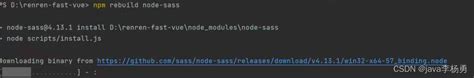 VUE安装npm install报错Module build failed Error ENOENT no such file or directory scandir 前端