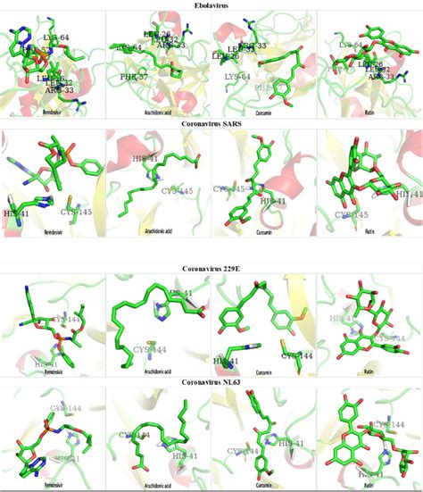 The 3d Dock Mapping Of Clinic Drug And Chemicals At Ebolavirus Envelope Download Scientific