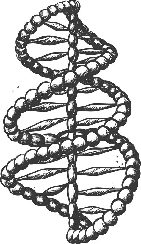 Gene Dna Mutation Symbol With Engraving Style Black Color Only 46012132 Vector Art At Vecteezy