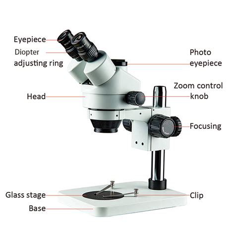 Dual Power Dissecting Microscope Manufacture And Quality 2022