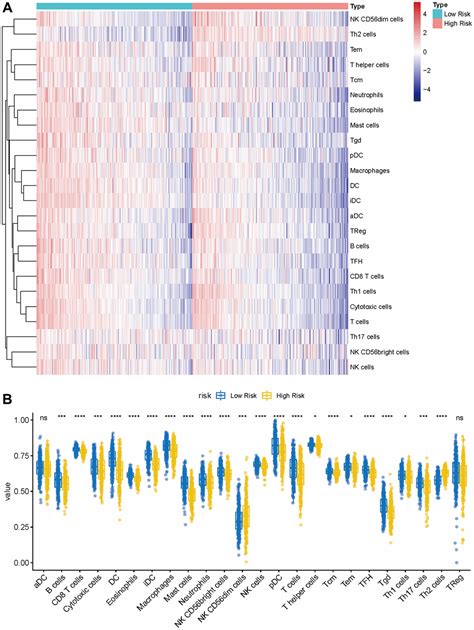 Identification Of A Methyltransferase Related Long Noncoding Rna