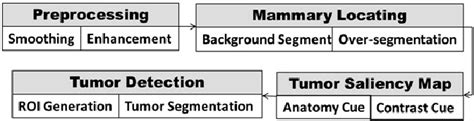 Figure 1 From A Saliency Model For Automated Tumor Detection In Breast Ultrasound Images