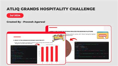 Portfolio Pravesh Agarwal Codebasics