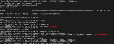 vscode 访问本地或者远程docker环境、linux服务器环境 vscode怎么使用docker csdn博客