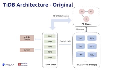 【tidb 40 Pcta 学习笔记】 13 A Brief History About The Tidb Database Platform（tidb 发展简史） 4班王晓俊