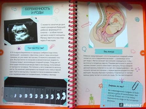 Книга Тело человека Интерактивная детская энциклопедия Купить книгу читать рецензии