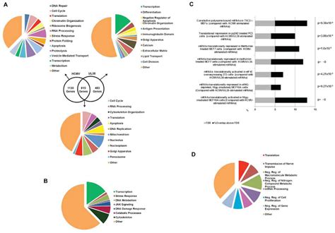 Figure 2 From Global Reprogramming Of The Cellular Translational