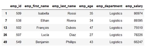 Scaling Pandas Forty Tips For Better Data Analysis