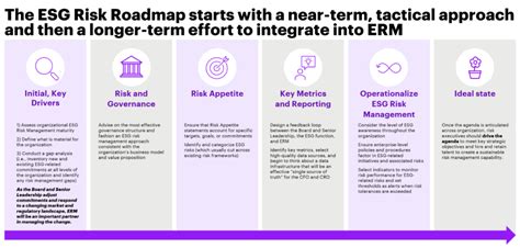 Embedding ESG into Enterprise Risk Management: How to Assess Maturity ...