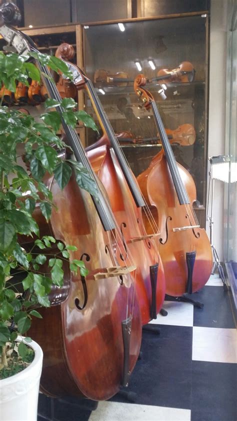 빌리지오 악기 대여 렌탈 콘트라베이스 종류별