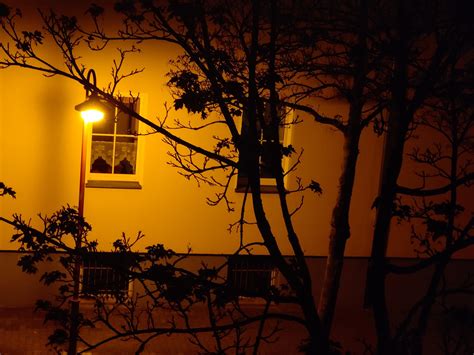 Camera Comparison Oneplus Pro Vs T Pro Test Results Completely Different Than Expected