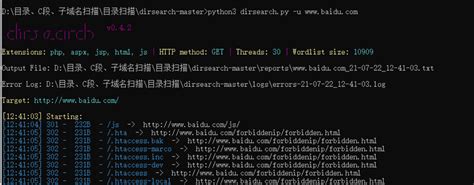 渗透测试之信息收集layer子域名挖掘机 Csdn博客