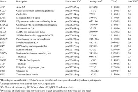 Characteristics Of Candidate Reference Genes Download Table