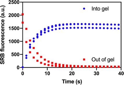 Diffusion Of Srb Into Blue N 3 And Out Of Red N 2 Hydrogel Download Scientific