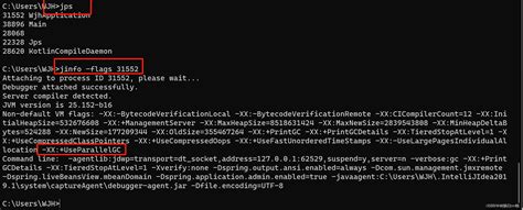 Jvm 常见配置参数java启动jar 设置jvm参数 Csdn博客