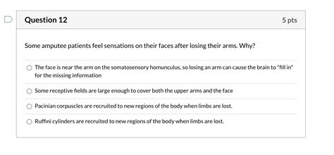 Solved Question 17 5 Pts The Orbital Frontal Cortex Receives