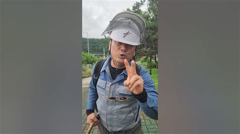 경계석 보도블럭사이 잡풀 제거하는 특급팁 조경과구들장 귀농귀촌 귀농 귀촌 귀촌생활 벌초 예초기 꼬마대장