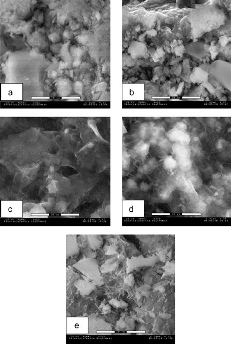 Microstructure Of Cement Paste After 30 Days Of Hydration A Neat Opc