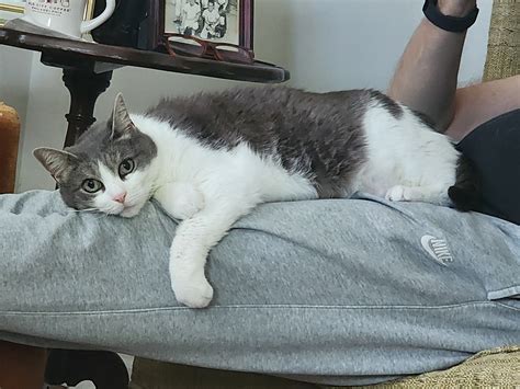 Haley Bailey Haley Bailey Added A New Photo