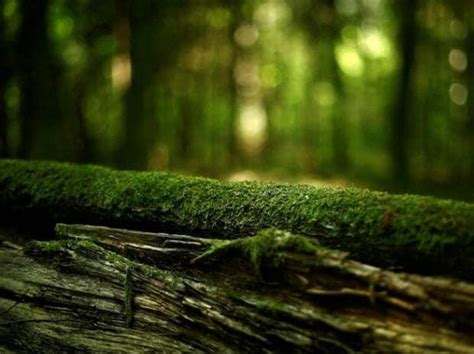 Indonesia Shocking Action Inder Jit Singh